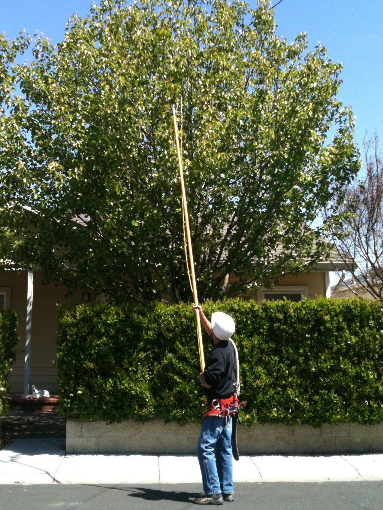 NY Workers Comp Class Code 0106 Tree Pruning Rates For 2021 NY Workers Comp Class Code 0106 Tree Pruning Rates For 2021